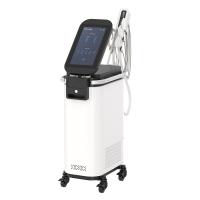 China RET Face Anti eye bags wrinkle removal face massage EMS RF facial care machine for sale