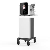 China Reduction Facial Wrinkles Hi Emt Machine With 200μs Pulse And Biphasic Wave Shape for sale