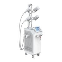 China 5Handles Fully Body Contouring Fat Freezing Vacuum 360 Cryolipolysis Body Slimming Machine for sale