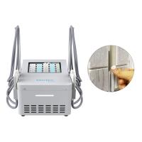 China Weight Loss Fast Freezing Cooling Plate EMS Vacuum Cryo Machine for sale