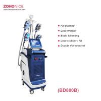 China 360 Angle Vertical Double Chin Cryolipolysis Slimming Machine for sale