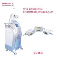 China Non - invasive Criolipolisis Slimming Machine cryotherapy fat removing machine for sale