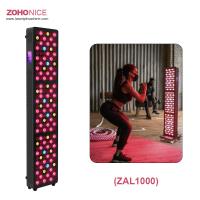 China 850nm 660nm LED Red Light Therapy Panel NIR Full Body Bone Pain Relief  Inflammation Reducing for sale
