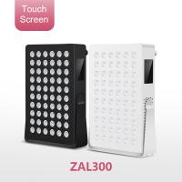 China 70pcs Home Use Body Pain Relief Recovery Time Reducing NIR 630nm 660nm LED Red Light Therapy Panel for sale