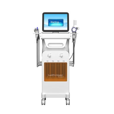 China 12in1 Hydrodermabrasion Skin Care RF Oxygen Facial Plasma Oxygen Spray Microdermabrasion Equipment for sale