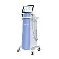 China 12.1Inch Touch Screen Collagen Regeneration Ice Hammer EMS Fractional RF Microneedling Machine for sale