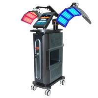 China Double PDT 7 Color Skin Rejuvenation Scalp care Pdt Led Light Therapy Machine for sale