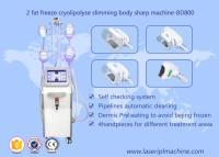 China Shape Body Cryolipolysis Slimming Machine , Lipo Cryo Cryolipolysis Beauty Equipment for sale