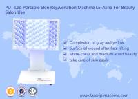 China PDT Led Portable Skin Rejuvenation Machine L5-Alina For Beauty machine for sale