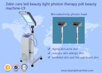 China 10HZ 415mm Skin Care Facial Lifting PDT LED Beauty  Light Therapy Machine for sale