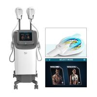 China 2.3KVA Body Slimming 220v 300µS EMS Muscle Stimulator for sale