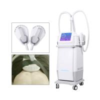 China 220v Build Muscle Vertical Painless HIEMT Laser IPL Machine for sale