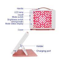 China PDT Led Red Light ODM Home Use Beauty Device For Facial for sale
