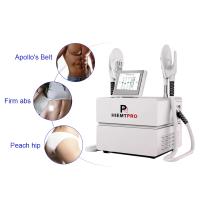 China Spa Muscle Sculpture 7 Tesla HIEMT Beauty Machine for sale