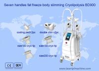 China Fat Freezing Double Chine Removal Cryolipolysis Machine for sale