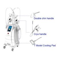 China Fat Freezing Double Chine Removal Cryolipolysis Machine for sale