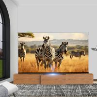 China Motorized Laser TV Cabinet for UST Projector Solid Oak TV Cabinet for sale