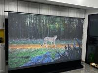 China Motorized Floor Rising Screen 90 inch projection screen compatible with ultra short throw laser projectors providing performance for business for sale
