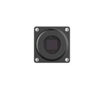 China IRAYPLE A9A27MX703 - CoaXPress/High-Gain - Stable Mono Industrial Line Camera for sale