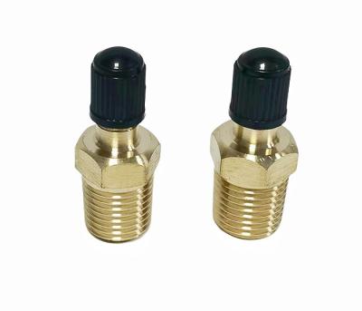 China Brass Schrader Valve With 1/4