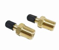China Brass Schrader Valve With 1/4