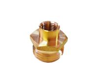 China NPT 1/4 Inches X NPT 3/4 Male Rv Water Blowout Plug Lead Free Brass for sale