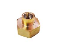 China Lead Free 1/4 Inches X NPT 3/4 Female Brass Blow Out Plug RV Garden Using for sale