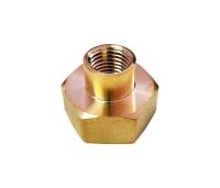 China Lead Free 1/4 Inches X NPT 3/4 Female Brass Blow Out Plug RV Garden Using for sale