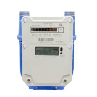 China LoraWAN Solution Streamlined Gas Management STS Keypad Prepaid Gas Meter for sale