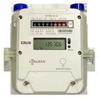 China LoraWAN Management STS/DLMS Keypad Prepaid Gas Meter for sale