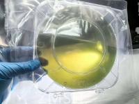 China 8inch  12inch 4H-N Type SiC Wafer Thickness 500±25um 1000±50 N Doped Dummy Prime Research Grade for sale