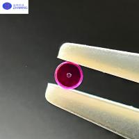 China Precision-Engineered Through-Hole Ruby Bearing with Extreme Hardness (Mohs 9) and Synthetic Single-Crystal Ruby for Minimizing Friction and Wear for sale