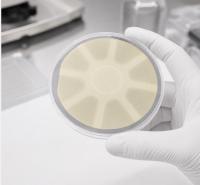 China WS₂ on Sapphire Wafer 2D Semiconductor Tungsten Disulfide Film on Sapphire Substrate for sale