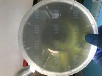China 6 Inch 4H Silicon Carbide SiC Substrates Wafers for sale