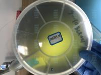 China 6 Inch 4H Silicon Carbide SiC Substrates Wafers for sale