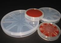China 2 Inch Gallium Phosphide Crystal Substrate GaP Wafer 0.3 Thickness Lapped Surface for sale