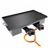China Low Investment Gas-Powered Super Performance Grill with Multifunctional Features for sale