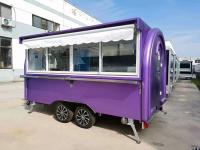 China 110V/220V/380V Voltage Stainless Steel Small Food Trailer for Fast Food Van at Direct for sale