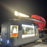 China Electric System Provide Concession Used Food Truck Trailer Food Car for sale