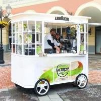 China Fresh Juice and Vegetable Fruit Salad Car Trolley for Mobile Shop 2500mm*1600mm*2350mm for sale