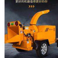 China Super Performance Wood Chipper Shredder with Low Investment and 18.5kw Power for sale