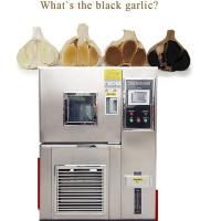 China 2022 Domestic Village Active Demand Black Garlic Fermenting Machine with Low Investment for sale