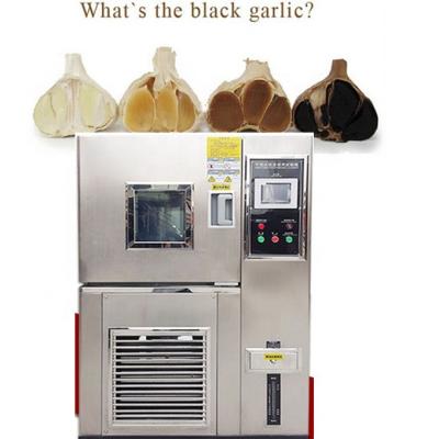 China 2022 Domestic Village Active Demand Black Garlic Fermenting Machine with Low Investment for sale