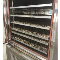 China 2022 Domestic Village Active Demand Black Garlic Fermenting Machine with Low Investment for sale