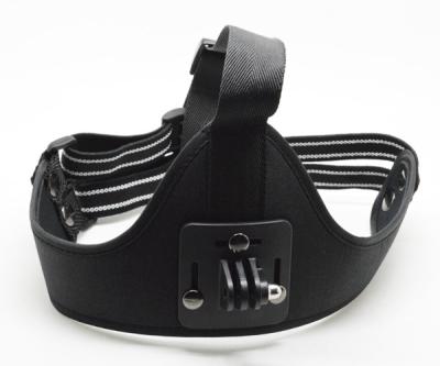 China Head Action Camera Straps with Screw for GoPro Hero 4 Hero 3+ Hero 2 for sale
