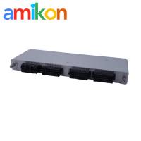 China Bently Nevada 172103-01 16 Channel Temp I/O Module with RTD/Isolated Tip TC for sale