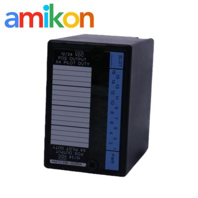 China GE IC670MDL740 16-Channel Discrete Output Module with 24 VDC Nominal and Built-in Fuse Protection for sale