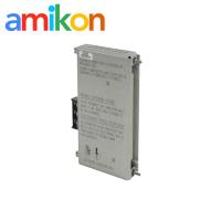 China Bently Nevada 133300-01 Low Voltage DC Power Input Module with 20 to 30 Vdc Input Hot-Swappable and Dual Redundant Configuration for sale