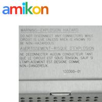 China Bently Nevada 133300-01 Low Voltage DC Power Input Module with 20 to 30 Vdc Input Hot-Swappable and Dual Redundant Configuration for sale