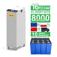 China Deligreen 16kWh 51.2V 48V 314ah 8000 Times Cycle lifepo4 Seplos BMS Lithium Ion Battery Pack with Active Balancer for sale